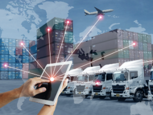 MDL Logistics | UK & Ireland Road Haulage, Trailer Hire and Customs.